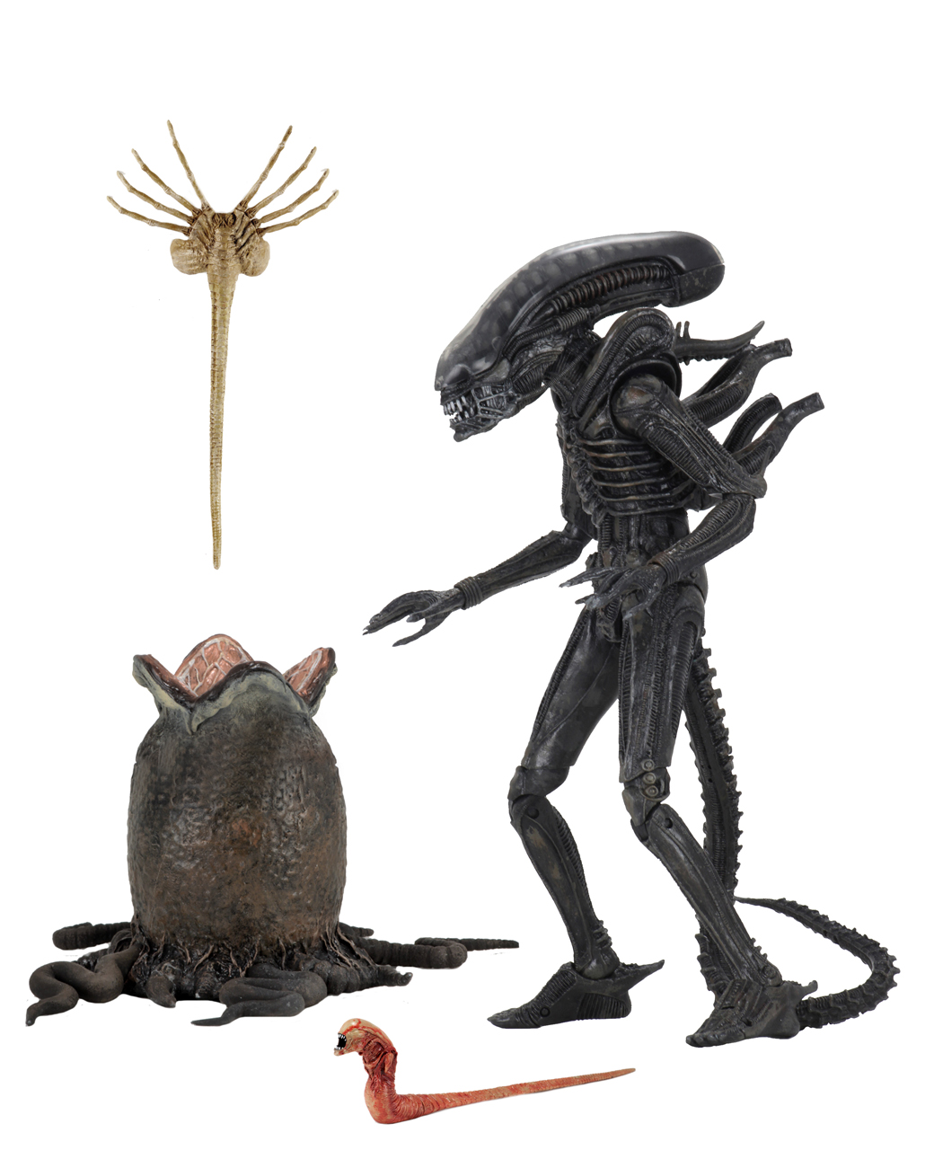 alien neca – Bella Books Comics and Toys